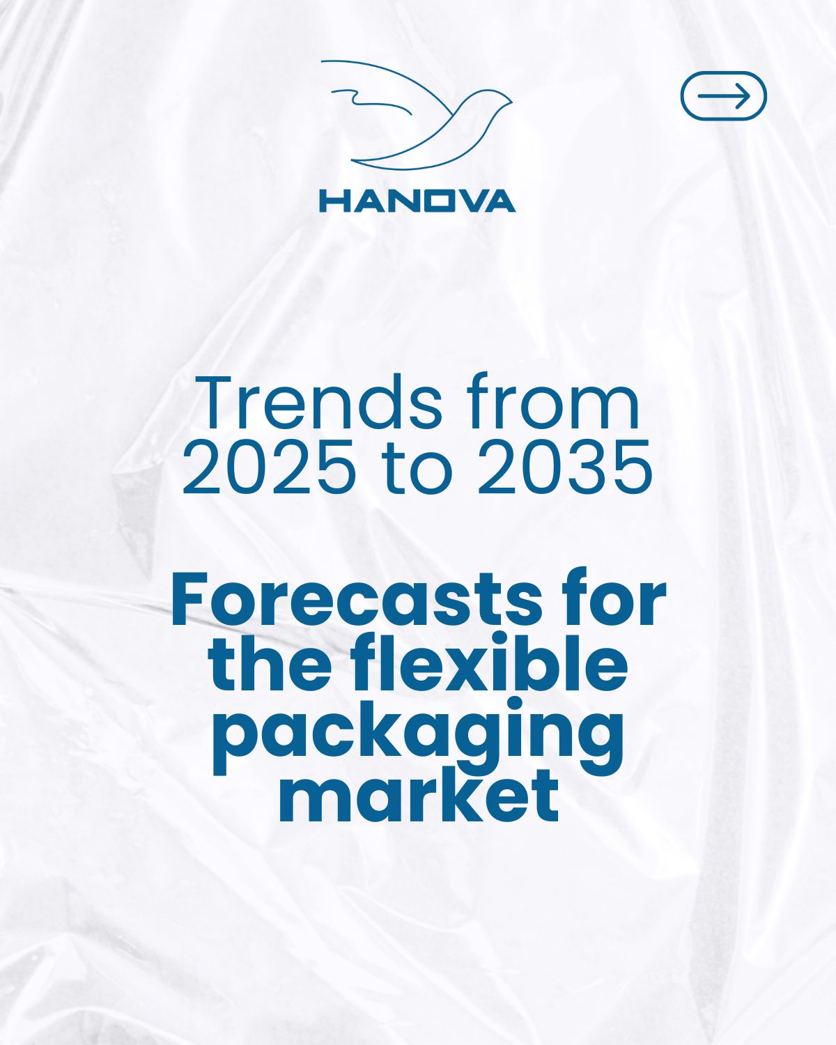 Flexible packaging market forecast: trends for 2025–2035 - Hanova